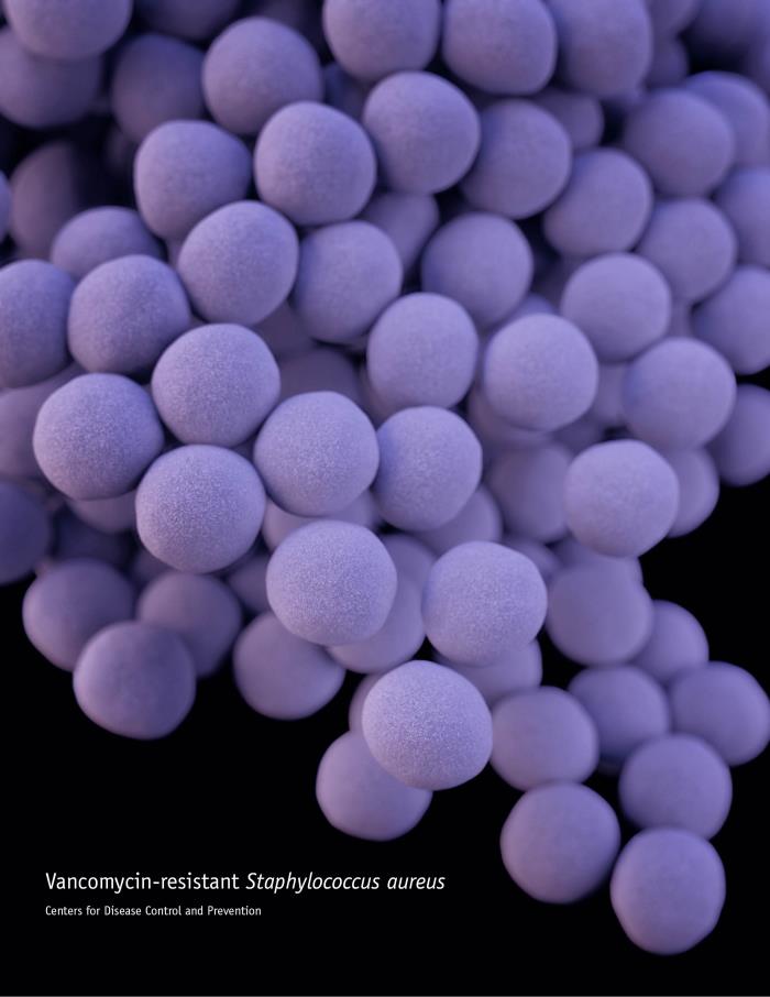 Details - Public Health Image Library(PHIL)