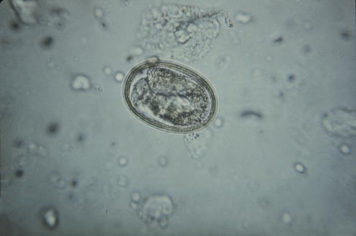 Details - Public Health Image Library(PHIL)
